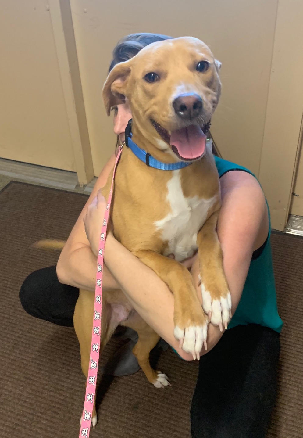 IMG_3421 – Red Fern Animal Rescue