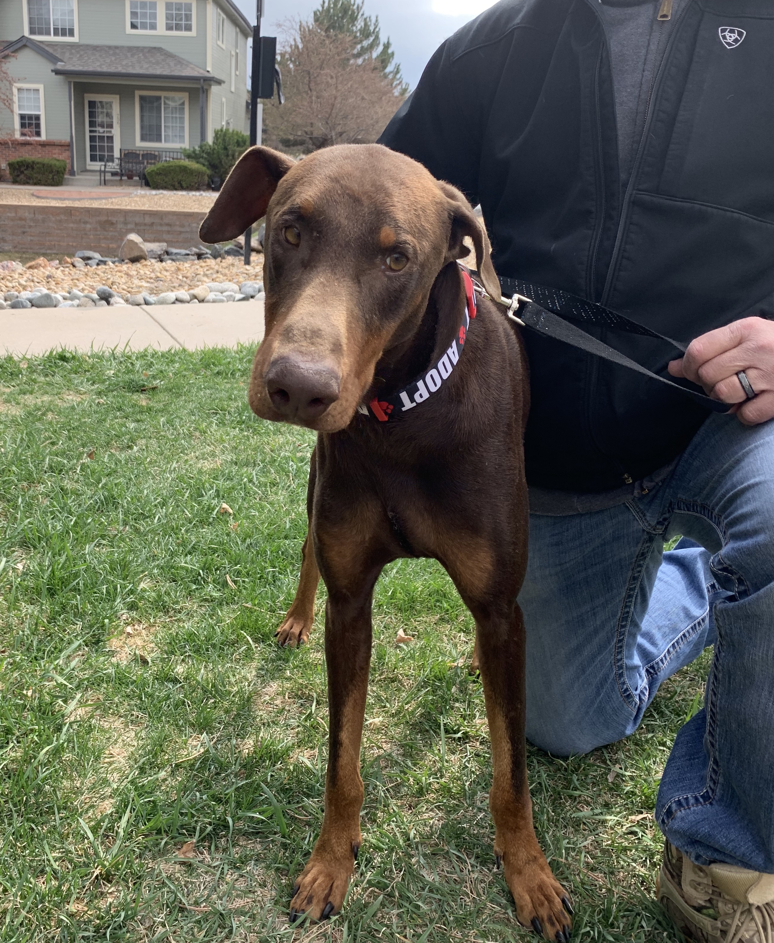 IMG_6633 – Red Fern Animal Rescue