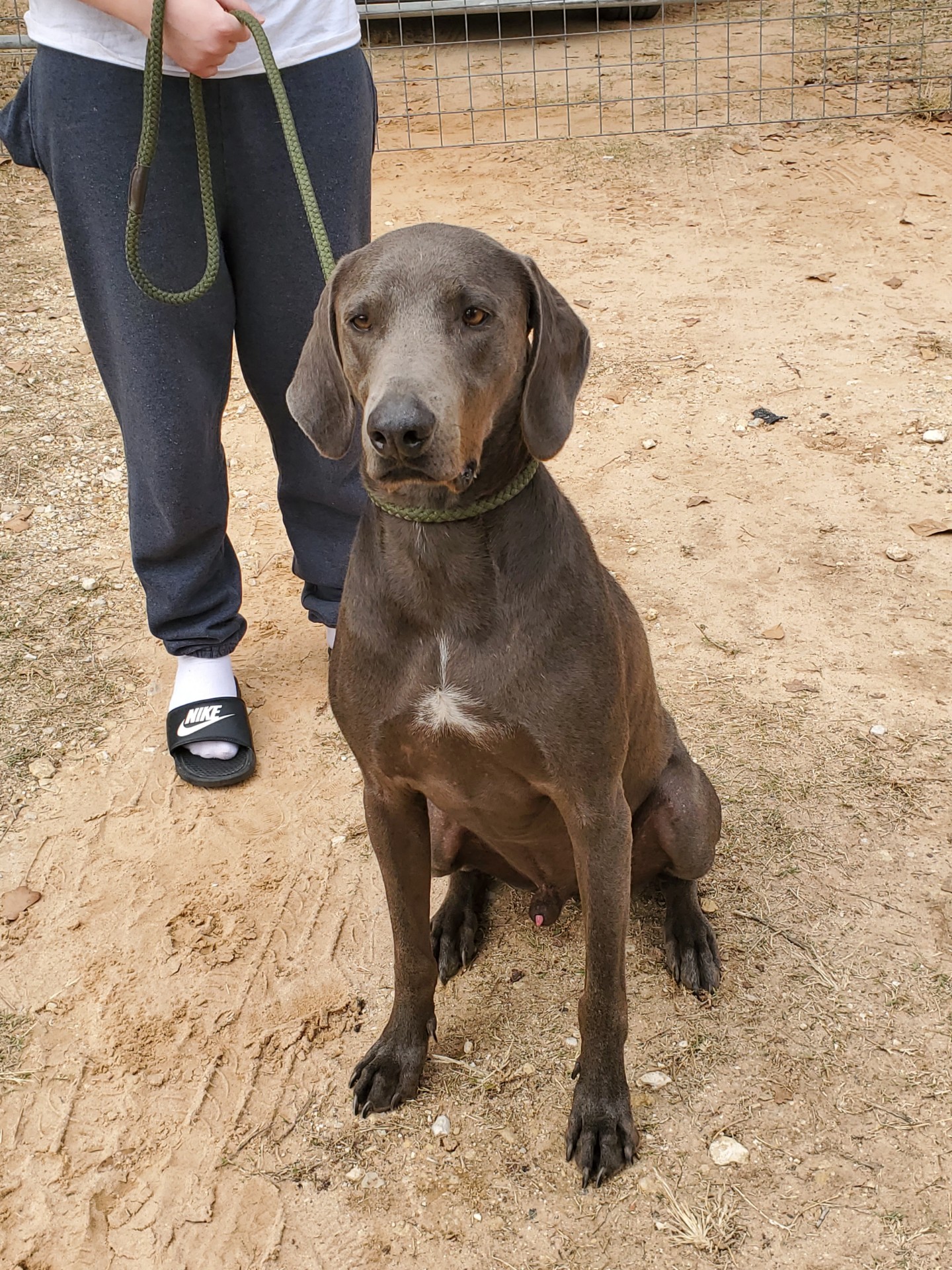 IMG_5569 – Red Fern Animal Rescue